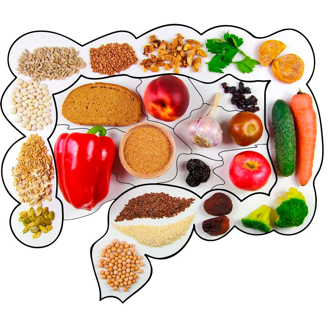 Colónicos® | Hidroterapia de Colon Profesional en México